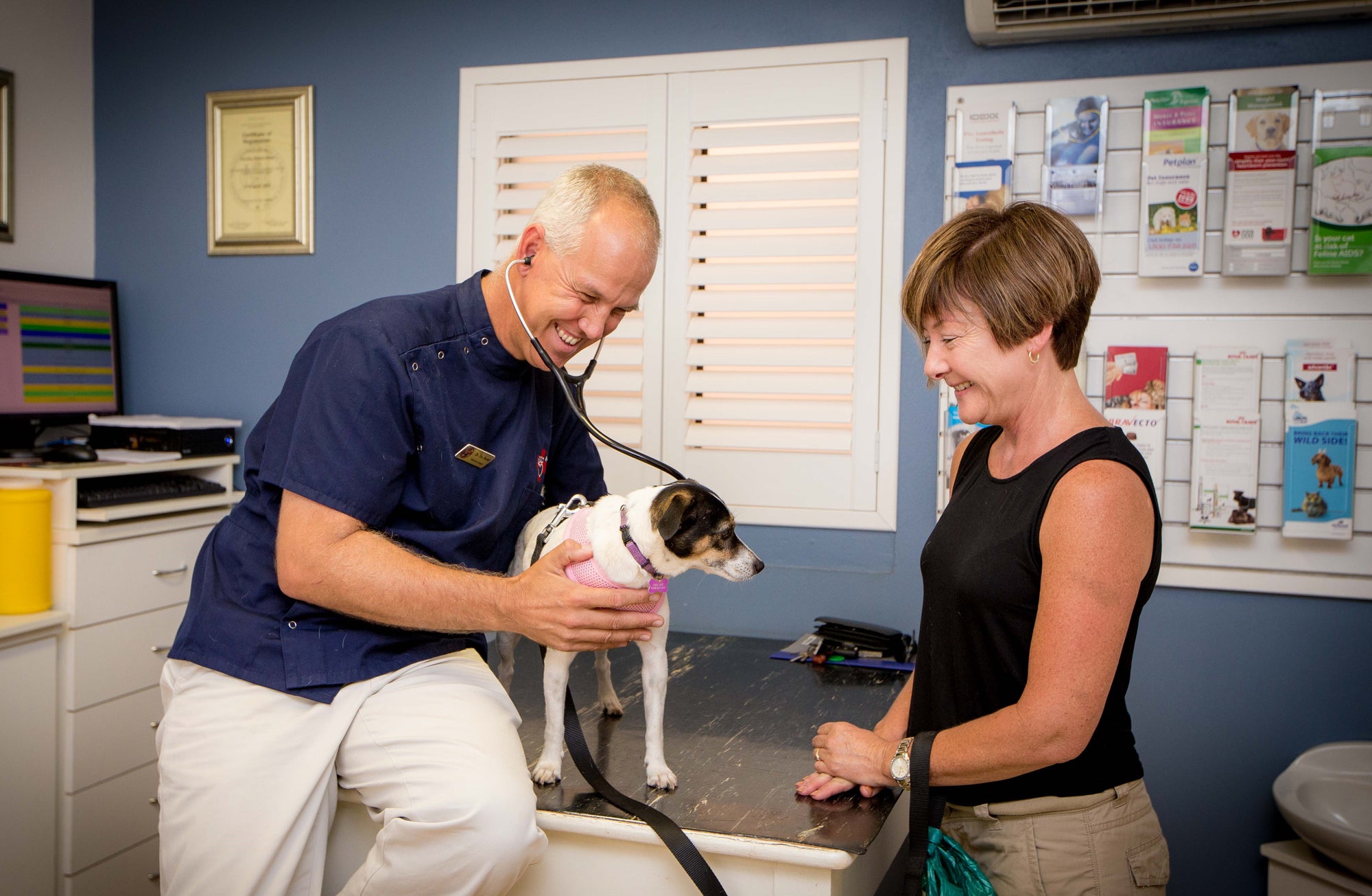 Port Macquarie Veterinary Hospital