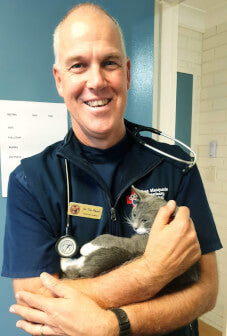 About Us – Port Macquarie Veterinary Hospital